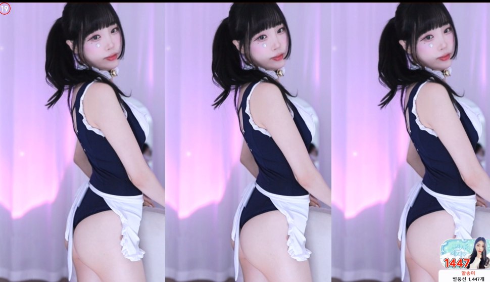 性感女仆「韩国主播BJ高惠智240408直播录像！性感可爱 – 自学吧